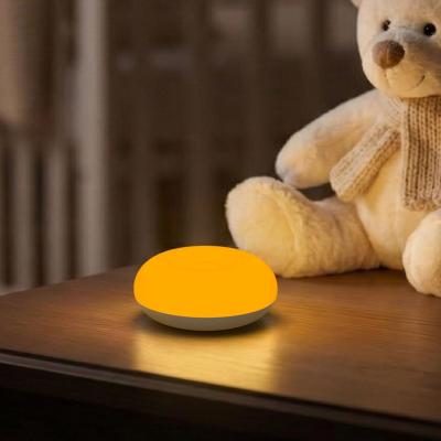 China Kids Flip Night Light with Blue Light Free Rechargeable Battery and Auto-Off Timer Bedside Lamp for sale