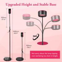 China Red Light Therapy Lamp with 660nm+850nm Wavelengths, Adjustable Height and Remote Timer for Home Use for sale