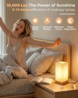 China VALED 10000 Lux Light Therapy Lamp with UV-Free Full Spectrum and 5 Brightness & 3 Color Temperatures for sale