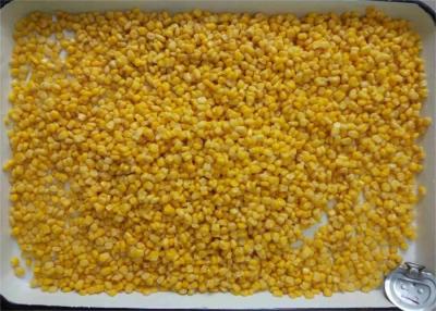 China Canned Sweet Corn Premium Quality BRC HACCP HALAL IFS ISO Certified 1x20GP MOQ for sale