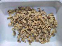 China Steamed Canned Champignon Mushrooms Pieces and Stems 425g 850g Non-GMO Easy Open Lid for sale