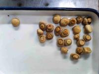 China Sliced Canned Champignon Mushroom 400g Medium White Preserved Mushroom for sale