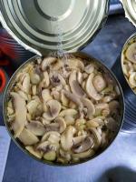 China Canned Salt Preserved Champignon Mushroom 0.6-1.3% Salt Content 20GP Minimum Order for sale