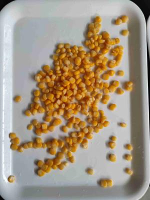 China 24 Months Shelf Life Vacuum Packed Corn With Protein 2.3 G for sale