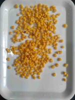 China Delicious Salt Flavored Sweet Corn in Can for sale