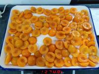 China Canned Apricot Halves 15 oz 22g Carbs Preserved Fruit Snack Bulk for sale