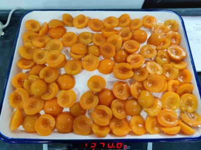China Canned Apricot Halves 15 oz 22g Carbs Preserved Fruit Snack Bulk for sale