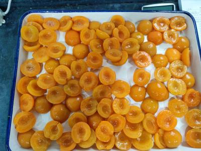 China Canned Apricot Halves 15oz Vitamin C Fortified Preserved Apricot Halves for sale