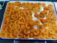 China Canned Apricot Halves 15oz Net Weight 22g Total Carbohydrate Preserved Fruit for sale