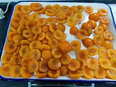 China Canned Apricot Halves 15oz Net Weight 22g Total Carbohydrate Preserved Fruit for sale