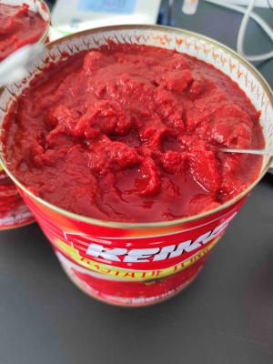 China Top Choice for Canned Tomato Extract in Form-Friendly Cans for sale