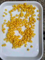 China Canned Sweet Corn 1800g Drained Weight Super Sweet Whole Kernel Easy Open Lid for sale