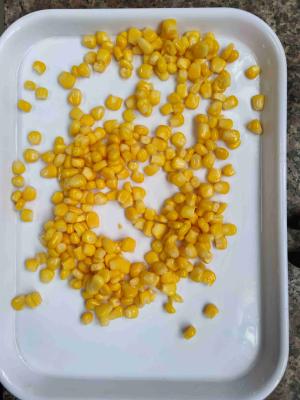 China Canned Sweet Corn 1800g Drained Weight Super Sweet Whole Kernel Easy Open Lid for sale