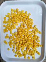 China Canned Sweet Corn Natural Color Ready to Eat 400g BRC HACCP Halal for sale