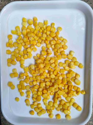 China Canned Sweet Corn Natural Color Ready to Eat 400g BRC HACCP Halal for sale