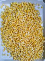 China Canned Sweet Corn Whole Kernel 400g Easy Open Lid Ready to Eat Vacuum Packed for sale
