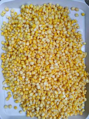 China Canned Sweet Corn Whole Kernel 400g Easy Open Lid Ready to Eat Vacuum Packed for sale