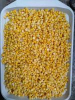 China Non-GMO Cultivation Type Canned Yellow Corn and Seasoned Processing Type for sale