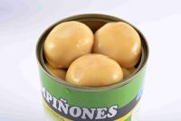 China Light Yellow Canned Whole Button Mushrooms - 184g to 2840g Net Weight in Tin & Glass Packaging for sale