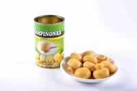 China Halal Kosher Certified Canned Whole Mushrooms 400g Net Weight with BRC HACCP ISO FDA Quality Standards for sale