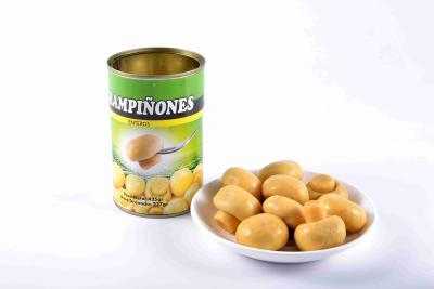 China Halal Kosher Certified Canned Whole Mushrooms 400g Net Weight with BRC HACCP ISO FDA Quality Standards for sale