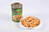 China Canned Champignon Mushroom Whole 425g 24 Tins per Case ISO Certified No Artificial Flavour for sale