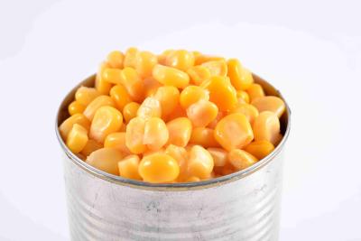 China Preserved Sweet Corn Salted Whole Kernel Corn for Your Restaurant for sale