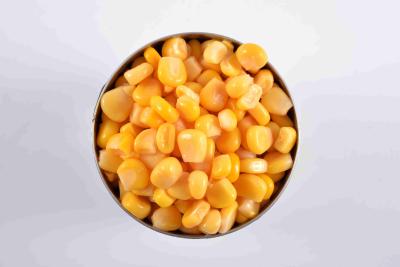 China OEM Grade A Canned Whole Kernel Sweet Corn 184g-2840g Water Preservation Process with Factory Direct Pricing for sale