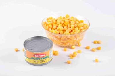 China Canned Sweet Corn Kernels Grade A 340g 24 Cans per Case for Food Service and Retail for sale