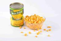 China Fresh Sweet Corn Canned Vegetable Corn with Canned Style for sale
