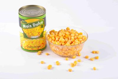 China Fresh Sweet Corn Canned Vegetable Corn with Canned Style for sale