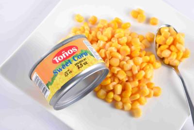 China Watap Canned Sweet Kernel Corn 184g-2840g with ISO HACCP KOSHER Certification and Syrup Preservation for sale