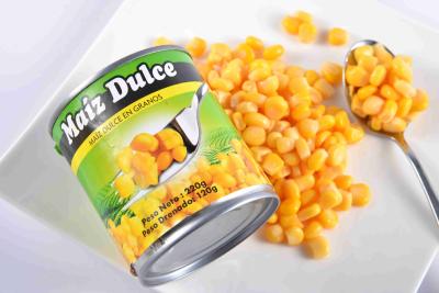 China Canned Sweet Corn Kernels 340g Non-GMO Halal Certified Easy Open Lid for sale