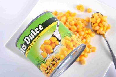 China Canned Sweet Whole Kernel Corn 340g Salty Flavor HACCP Certified Bulk Export for sale