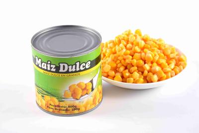 China Canned Sweet Corn Kernels 340g High Temperature Sterilization with 3 Year Shelf Life - BRC & HACCP Certified for sale