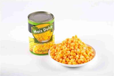 China Canned Sweet Corn Kernels 425g Tin Natural Flavor for Salad Pizza Soup for sale