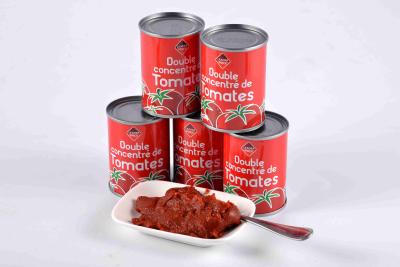 China Concentration Canned Tomato Sauce for Customer Requirements for sale