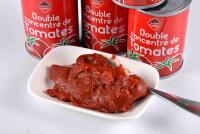 China Concentrated Canned Tomato Paste Sample Free Style Canned Concentrated for sale