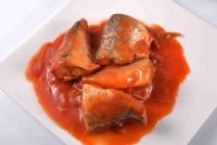 China Mackerel Canned Fish in Tomato Sauce 155g & 425g Tins with FDA HACCP Certification for Nutritional Health for sale