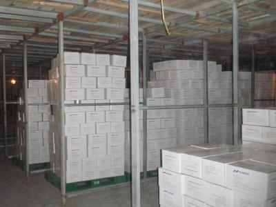 China IQF Frozen PUD Red Shrimp 10-300 Pieces/LB with 24 Month Shelf Life at -18°C for sale