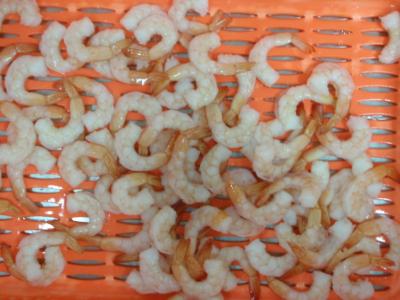 China Frozen Vannamei White Shrimp 26/30-110/130 pcs/lb with HACCP/FDA Certification - 24 Month Shelf Life for sale
