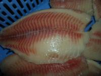 China Thailand Origin Frozen Tilapia Fillet Bulk Pack - 1-7 oz Sizes, 24 Month Shelf Life at -18°C, IQF Processing for sale