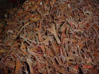 China IQF Frozen Black Fungus Stripe 4-6mm Width with 24 Month Shelf Life at -18°C | Grade A Quality for sale