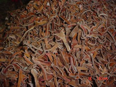 China IQF Frozen Black Fungus Stripe 4-6mm Width with 24 Month Shelf Life at -18°C | Grade A Quality for sale
