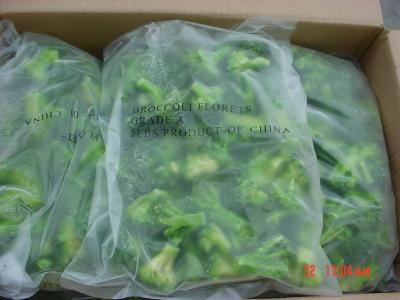 China IQF Frozen Broccoli Florets 2-6cm Size Range with 24 Month Shelf Life from Fujian China for sale