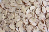 China 400g Canned Sliced Mushrooms with 3-Year Shelf Life - BRC, FDA, ISO Certified Oyster Mushrooms in Brine for sale