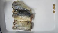 China 425g Canned Jack Mackerel in Brine or Tomato Sauce Ready to Eat 3 Year Shelf Life for sale