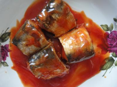 China Premium Canned Mackerel in Tomato Sauce, Brine or Oil - 425g, 155g & 125g Tins with Omega-3 Fatty Acids for sale
