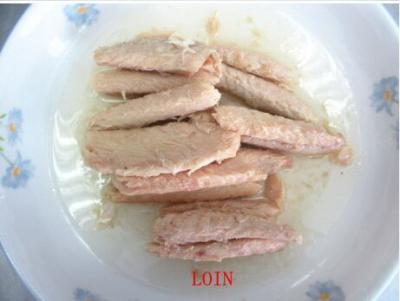 China Canned Mackerel Fillets in Vegetable Oil - 140g to 1.88kg Net Weight, 3 Year Shelf Life for sale