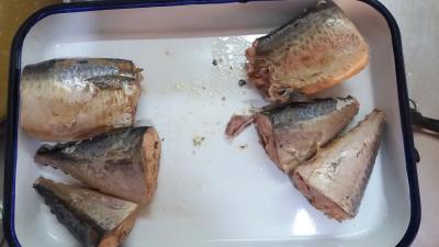 China Wild Caught Canned Mackerel Fillets in Brine - 125g & 425g Options with HACCP/ISO/BRC Certification for sale